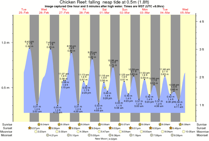 Chicken Reef Surffoto door Flynn Ironmonger | 12:21 pm 1 Mar 2014
